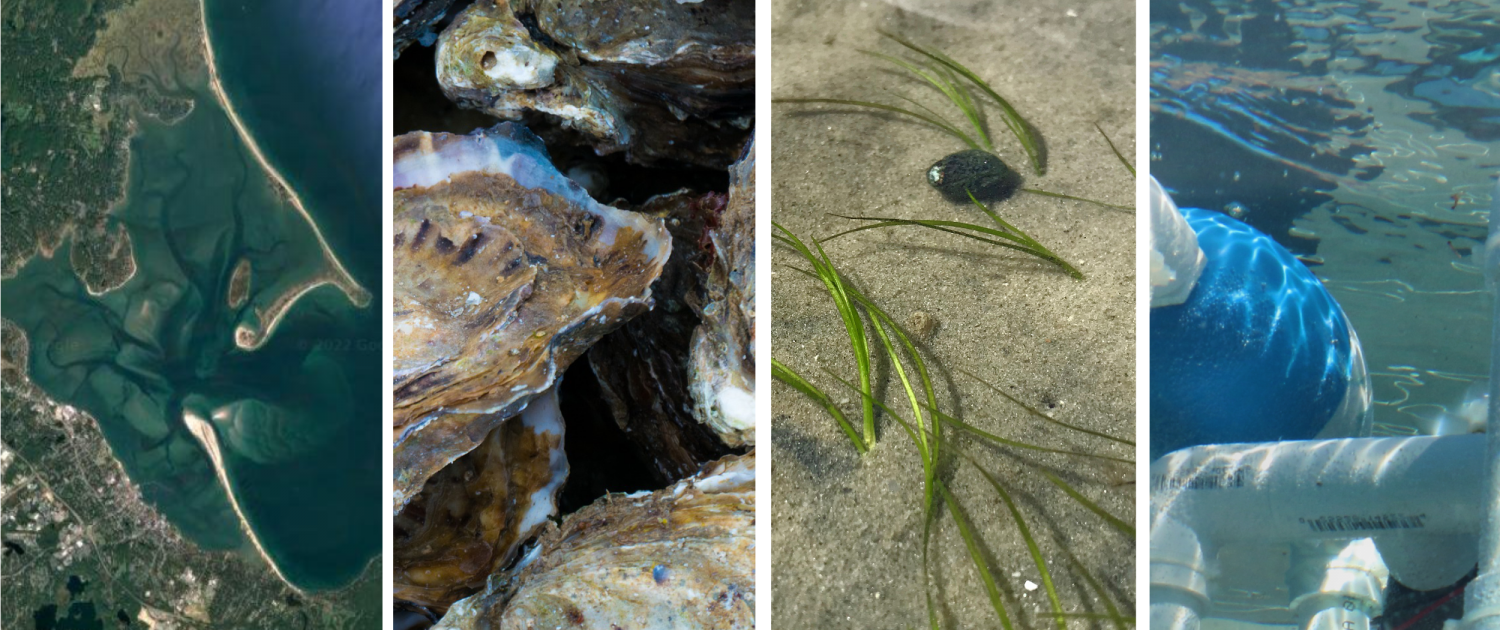 MIT Sea Grant – Where ocean science meets cutting edge technology