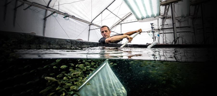 MIT Sea Grant – Where ocean science meets cutting edge technology