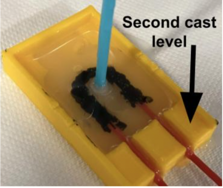 Module 1: Robotic Whisker Sensor – MIT Sea Grant