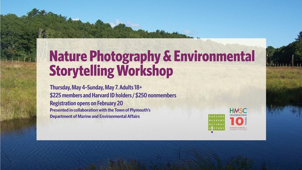 Nature Photography & Environmental Storytelling Workshop - MIT Sea Grant