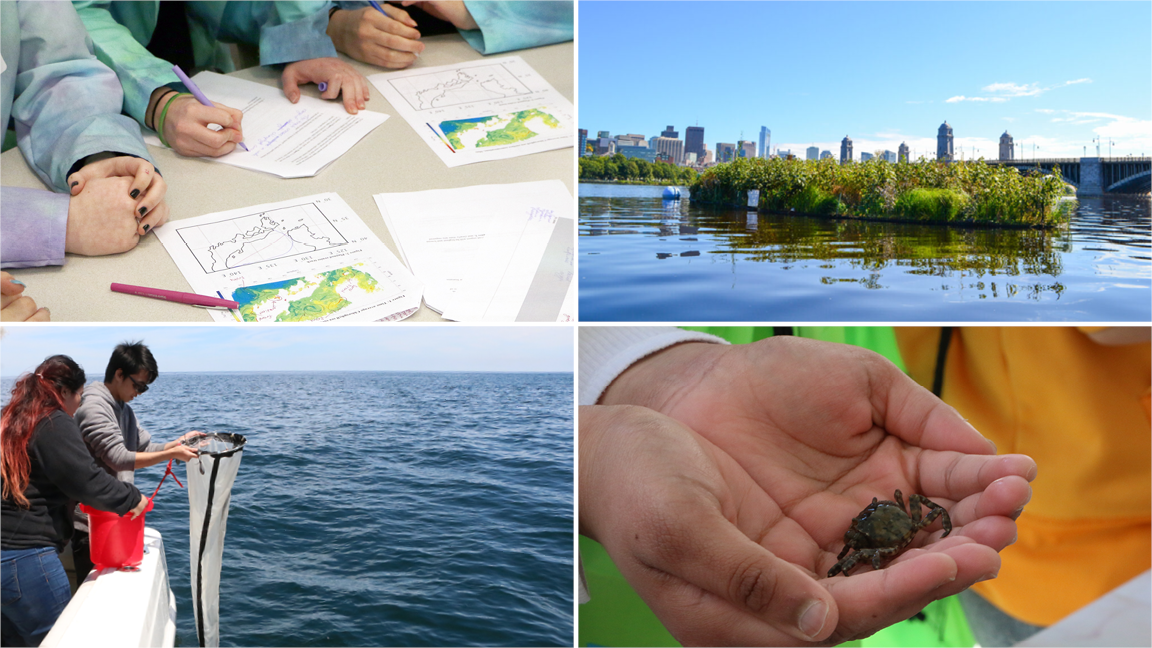 MIT Sea Grant Announces 2023 STREAM Funded Projects - MIT Sea Grant