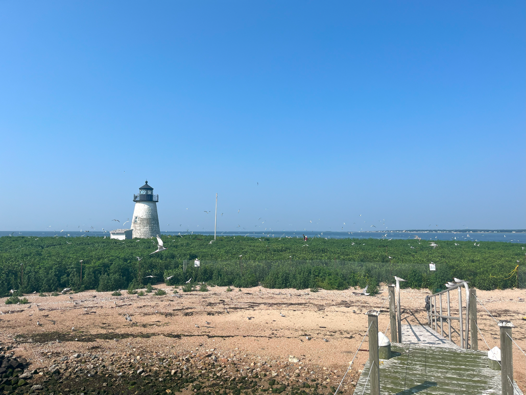 Now Accepting Applications: Massachusetts Sea Grant Graduate Research ...