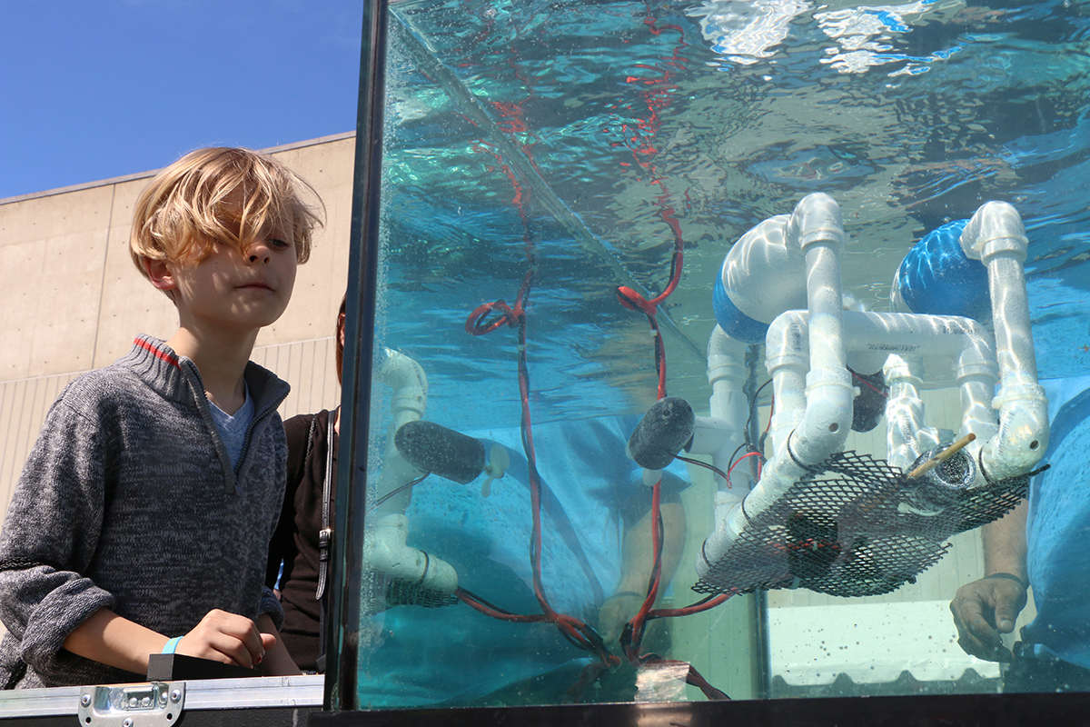 Join MIT Sea Grant at the Cambridge Science Festival Sept. 26 + Oct. 1 ...