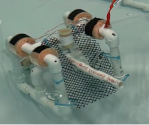 Basic SeaPerch Build Guide - MIT Sea Grant