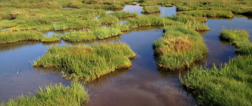 Home - MIT Sea Grant