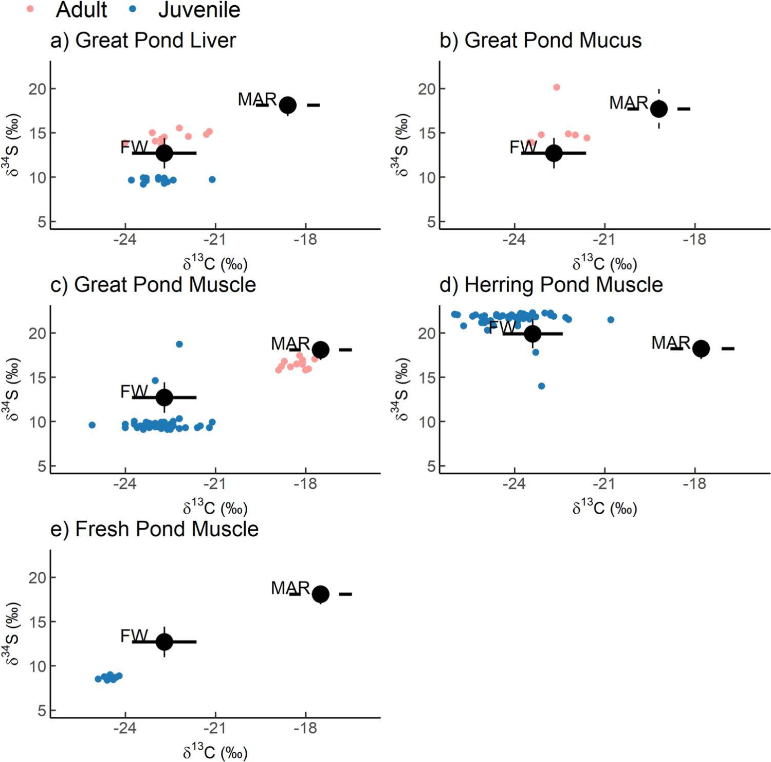 Paper Published in Estuaries and Coasts Shows How River Herring Help ...